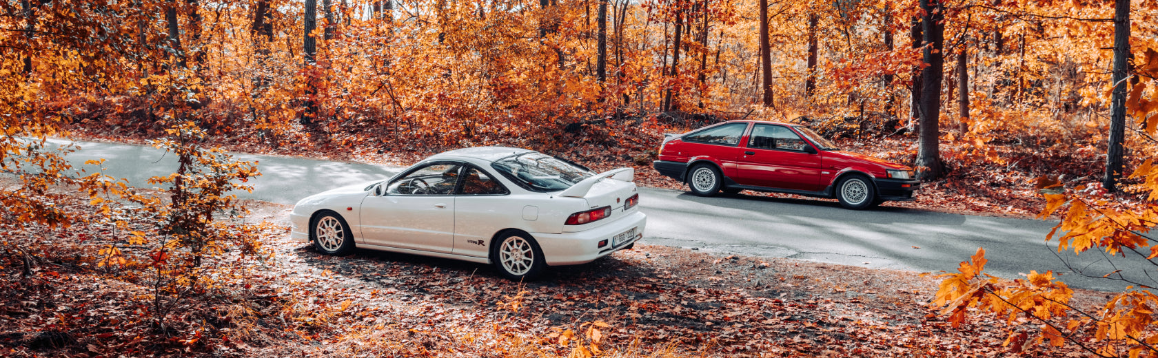 Seasonal Car Care: How to Prepare Your Car for Fall | Turtle Wax US Store